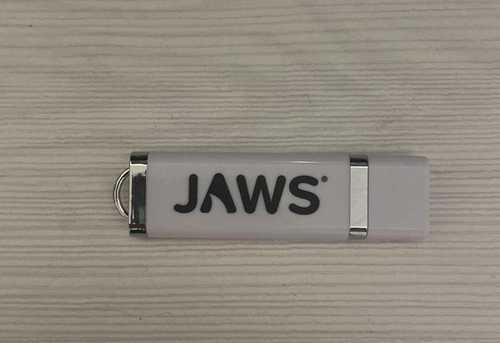 Jaws for Windows 2021 PRO