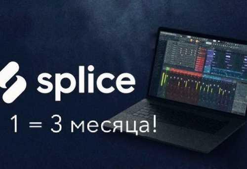 Splice семплы 1 месяц + два в подарок