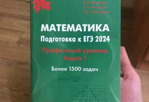 Профильная математика егэ 2024