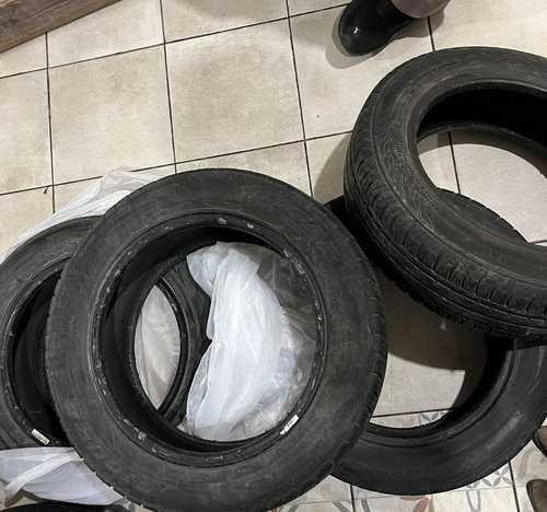 Tigar Sigura 165/65 R14 79T
