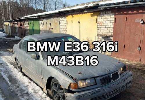 Разбор BMW E36
