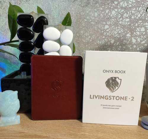 Электронная книга onyx boox livingstone 2