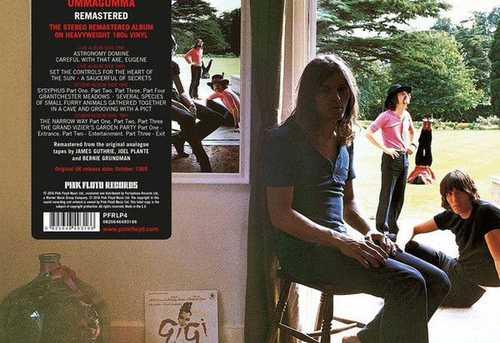 Виниловая пластинка Pink Floyd ummagumma