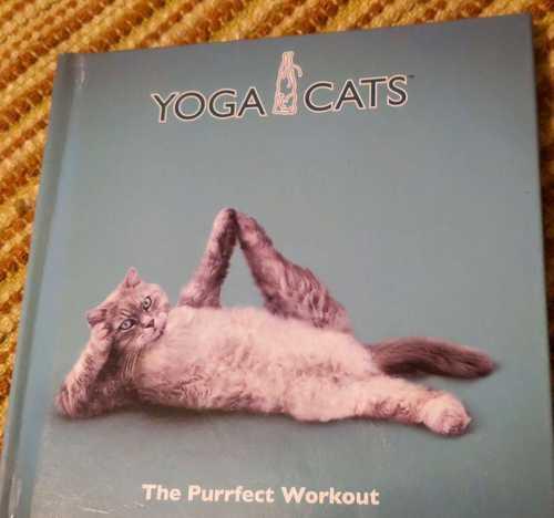 Yoga cats книга на английском кошки