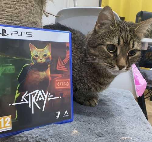 Диск Stray ps5