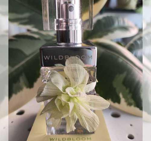 Wildbloom Vert banana republic