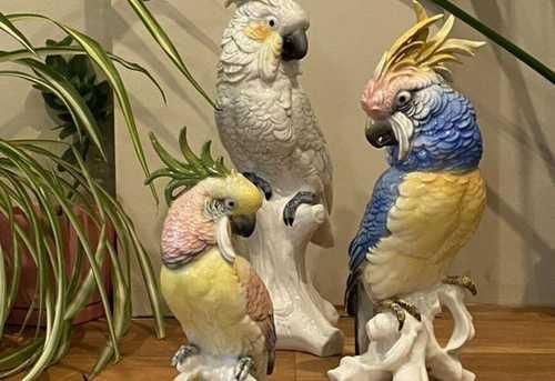 Коллекция фарфоровых попугаев