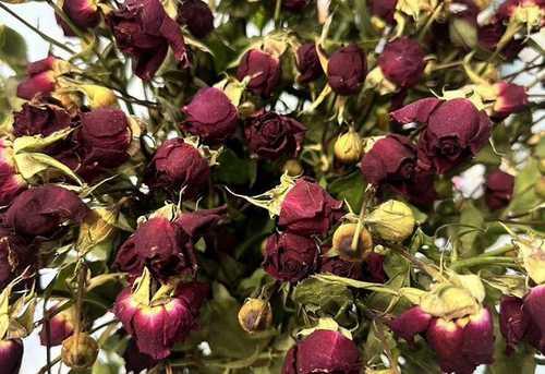 Букет кустовых сухих роз сухоцветы
