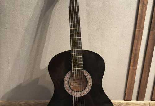 Классическая гитара Terris TC-3801A BK