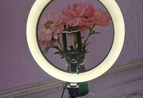 Кольцевая лампа 26 см с аксессуарами