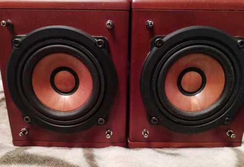 JVC SP-EXD1 Woodcone