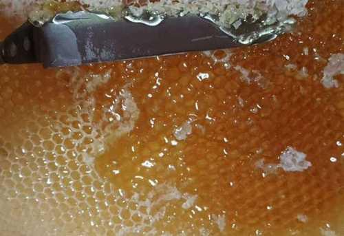Мед с пасеки/пыльца пчелиная/мед в сотах/забрус