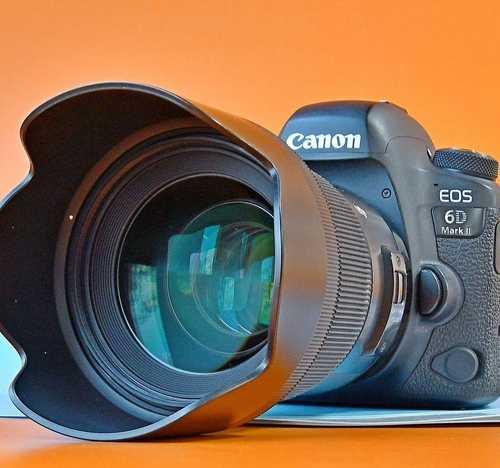 Canon 6D mark II body   Sigma 50mm f1.4 ART