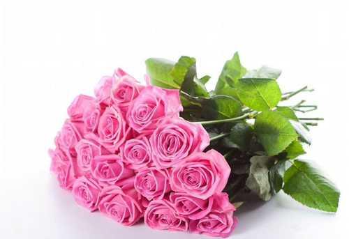 Розовые розы букеты доставка Ставрополь