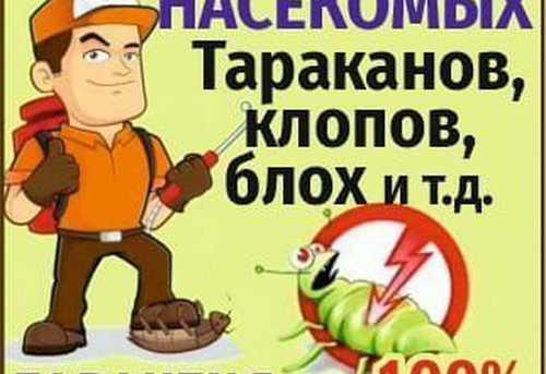 Дезинфекция тараканов клопов травить крыс запахи