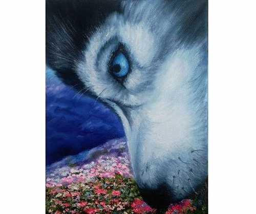Картина Собака Хаски и цветы. Живопись маслом