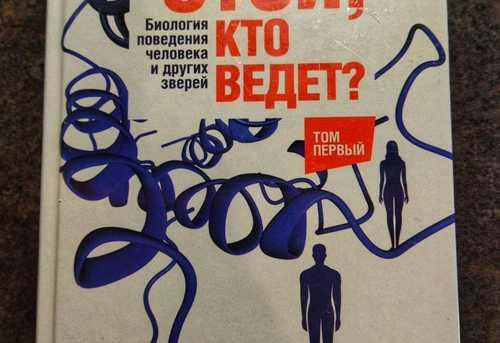 Стой кто ведёт Жуков