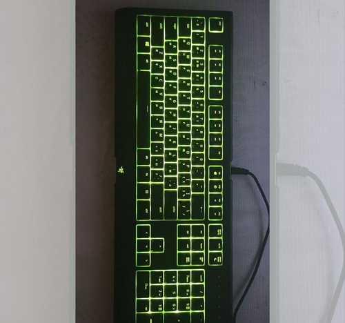 Игровая клавиатура Razer cynosa chroma