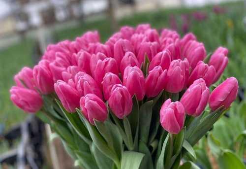Букеты тюльпаны к 8 марта с доставкой