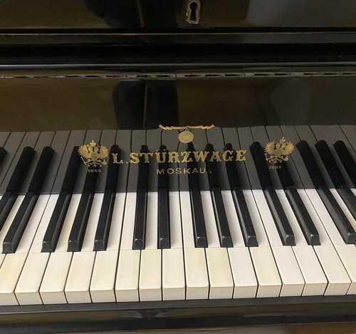 Рояль L. Sturzwage хix век