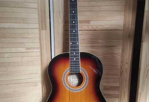 Акустическая гитара Euphony EW - 100 SB