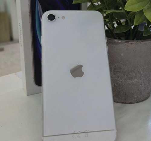 iPhone SE (2020), 64 ГБ