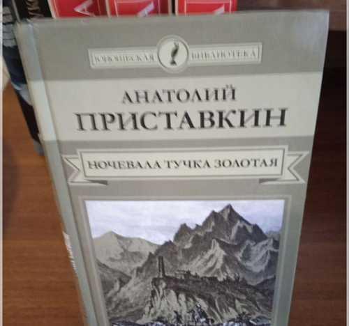 А. Приставкин. "Ночевала тучка золотая"