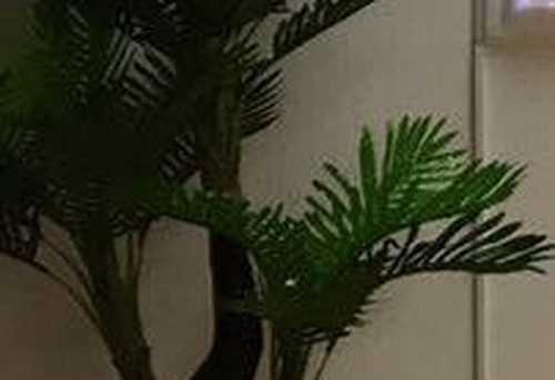 Декоративные растения искусственные пальмы