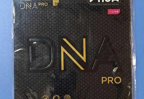 Stiga DNA pro H