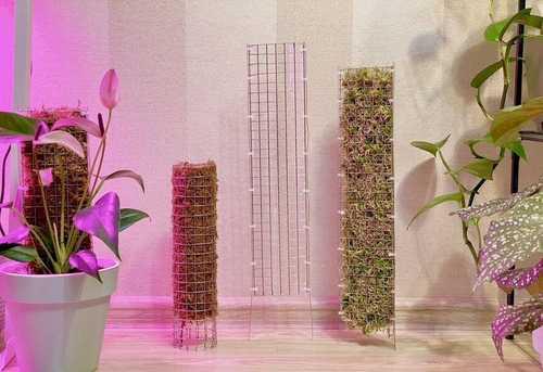 Опора для растений металлическая, тотем из мха