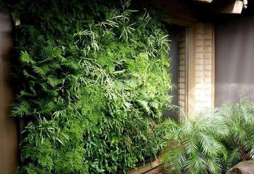 Уникальный дизайн: стены из растений. Арт: 215643