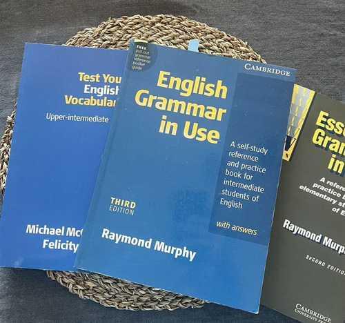 English grammar in use murphy