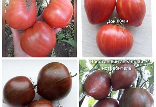Семена коллекционных томатов ч.2