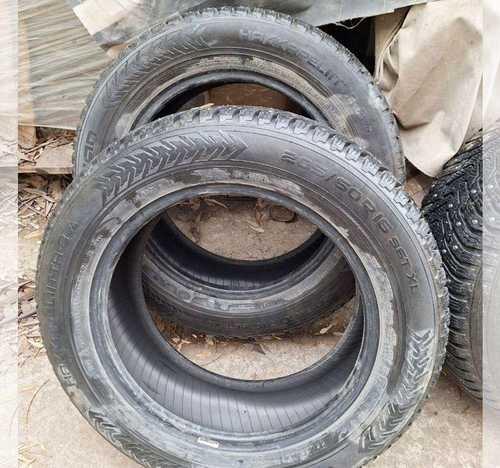 Nokian Tyres Hakkapeliitta 8 205/60 R16