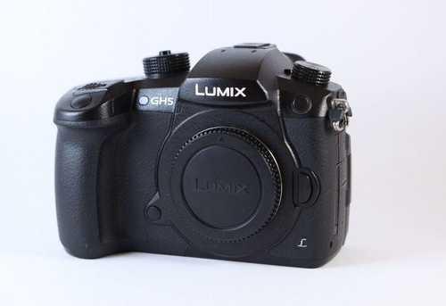 Panasonic lumix GH5 и объектив 12-60 asph. O.I.S