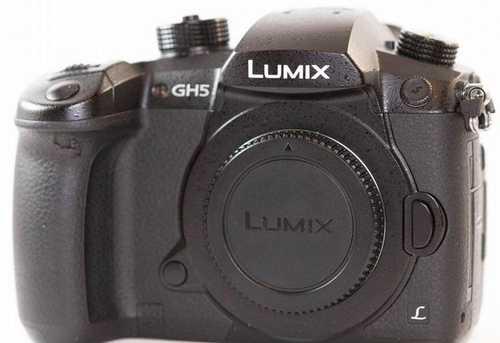 Panasonic lumix GH5 (v-log)