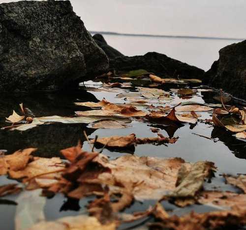 Фоторедактор карточек для маркетплэйса