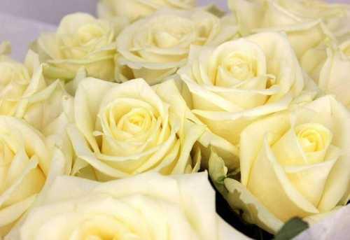 15 Роз в Букетах с Доставкой Цветы