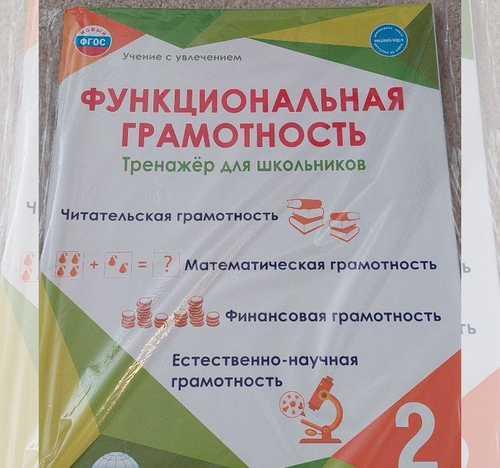 Функциональная грамотность 2 класс новая
