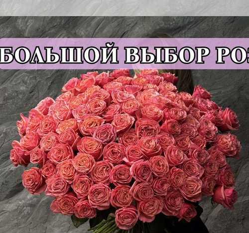 Розы. Цветы