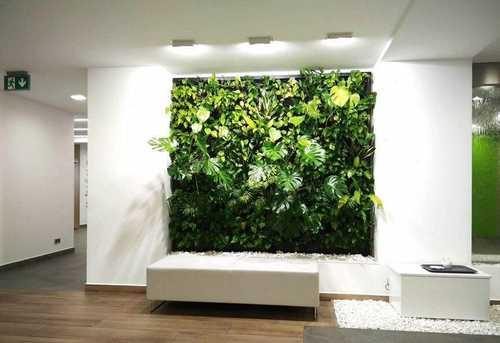 Зеленые стены: природный рай в вашем доме. Арт: 21
