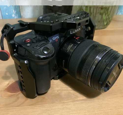 Panasonic lumix gh5s body