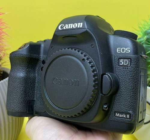 Canon EOS 5D Mark II