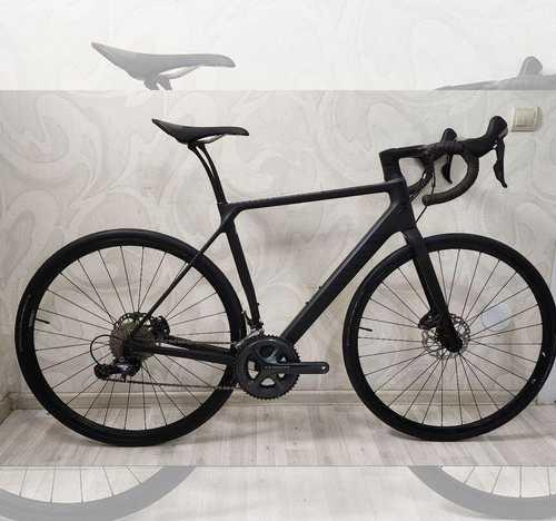 Эндуранс Canyon Endurace CF SLX 8.0 Disc M/178-184