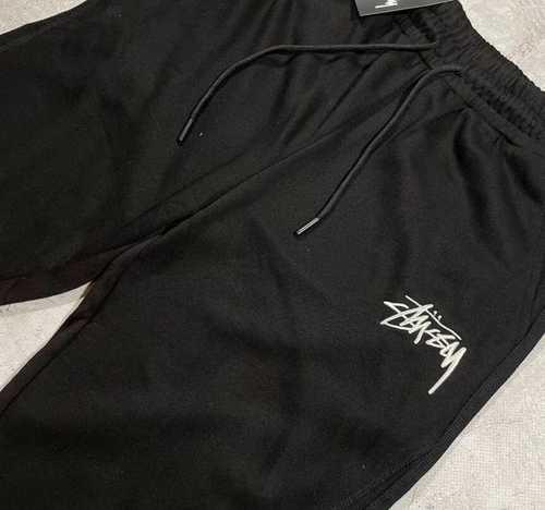 Штаны Stussy