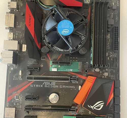 Материнская плата asus Strix b250h gaming