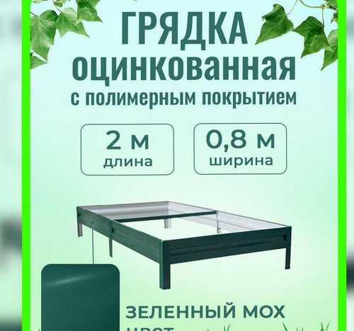 Грядки