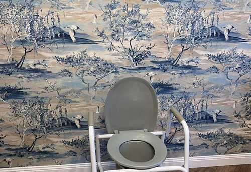 Санитарное кресло - туалет