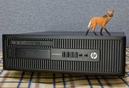 HP Elitedesk 800 i7/16/256+500