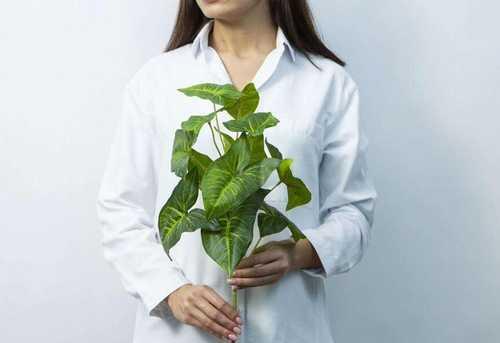 Растения искусственные для кашпо